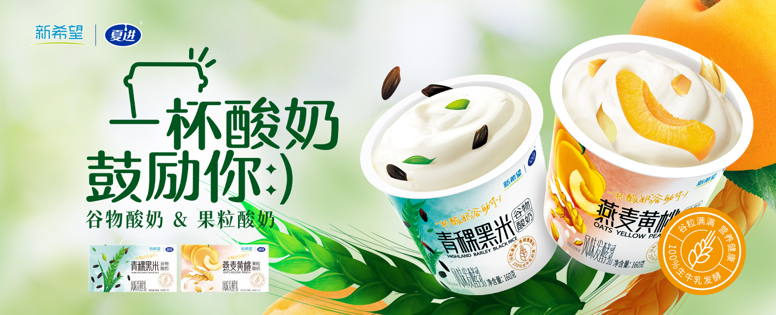 夏进乳业